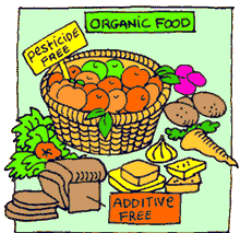 Organic Farming Can Feed The World, Study Suggests | Bird decline ...